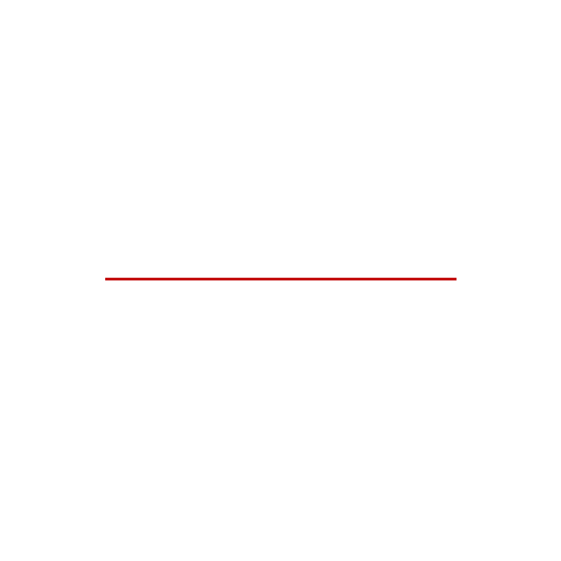Chapter One - SkywingKnights